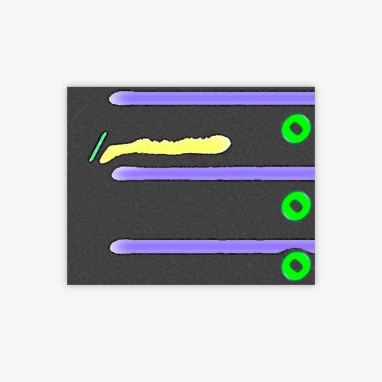 The Street by Ellen Kane - Arts Access Program